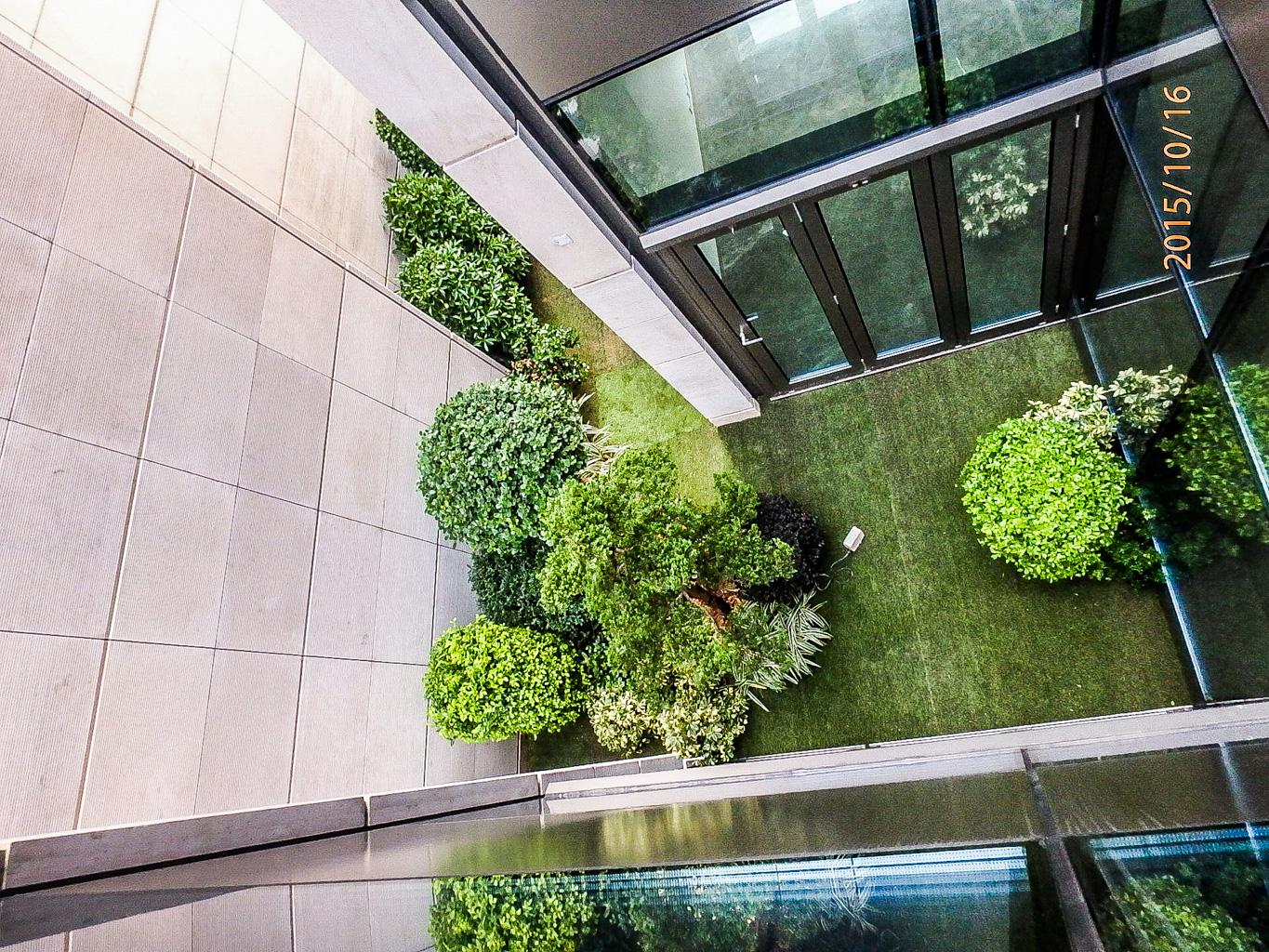 Soft Landscape Enhancement in TPTL 186 Pak Shek Kok Tai Po - Tarzan Landscape Contractors Limited