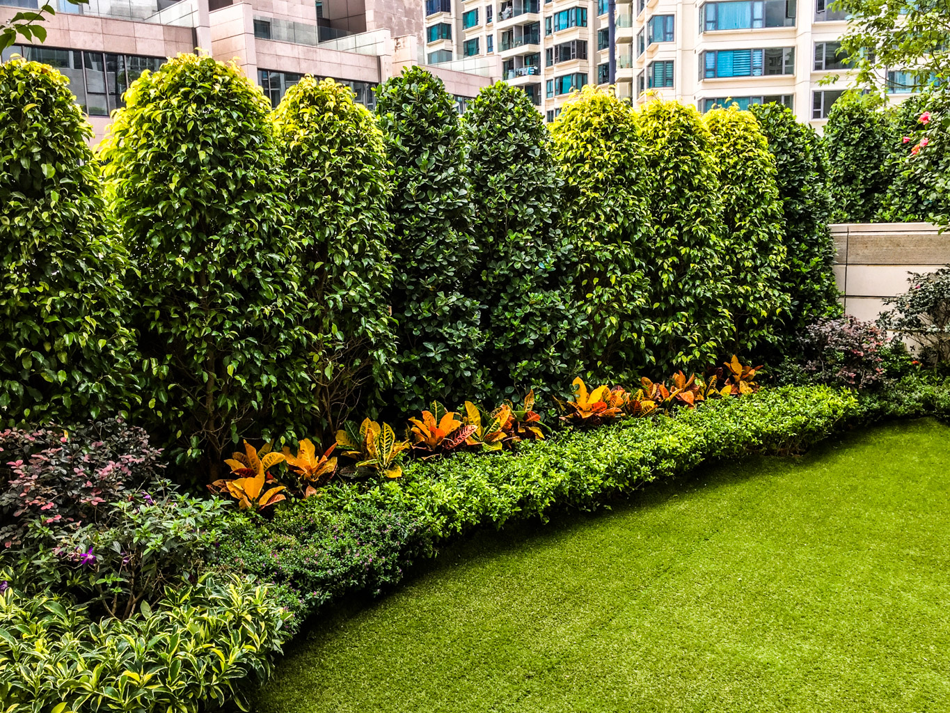 Soft Landscape Enhancement in TPTL 186 Pak Shek Kok Tai Po - Tarzan ...